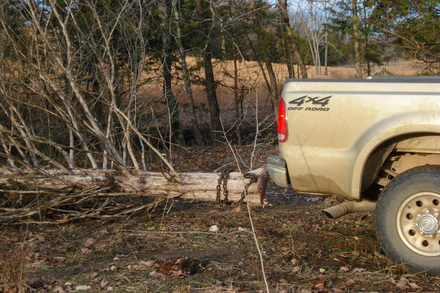 Seedbed Preparation by Dragging Guide | Hamilton Native Outpost