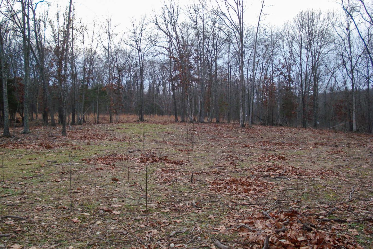 Seedbed Preparation Overview | Hamilton Native Outpost