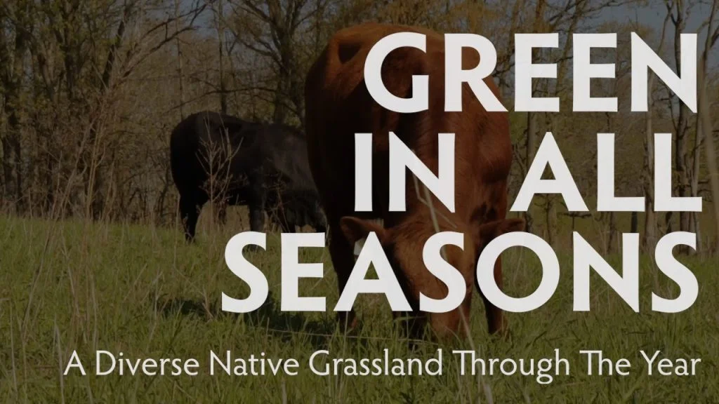 A Diverse Native Grassland in Spring, Summer, Fall, and Winter – Green ...