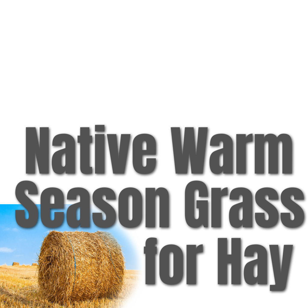hay-mix-hamilton-native-outpost